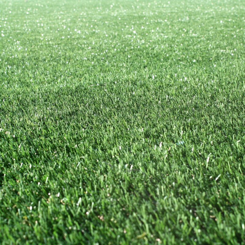 Used Artificial Turf For Sale by ReTURF | Online Ordering | Support