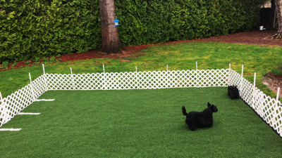 Quick & Easy Artificial Turf Dog Play Area - ReTurf