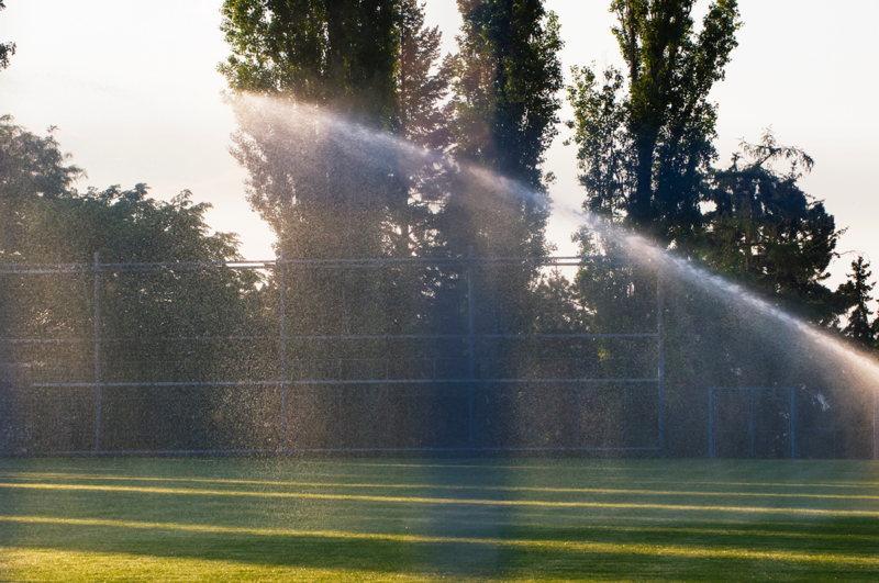 4 Easy Ways to Keep Turf Cool in the Summer - ReTurf