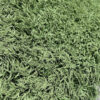 Used Artificial Turf For Sale by ReTURF | Online Ordering | Support