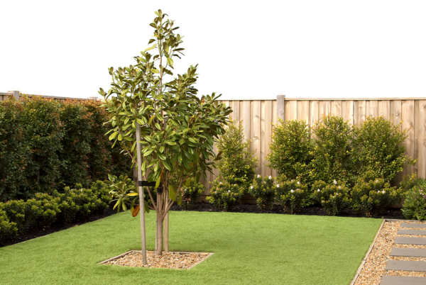 Sod vs Artificial Turf: Which Is The Better Option? - ReTurf