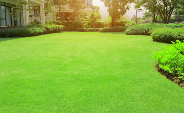 Drainage & Artificial Turf: Things You Need to Know - ReTurf