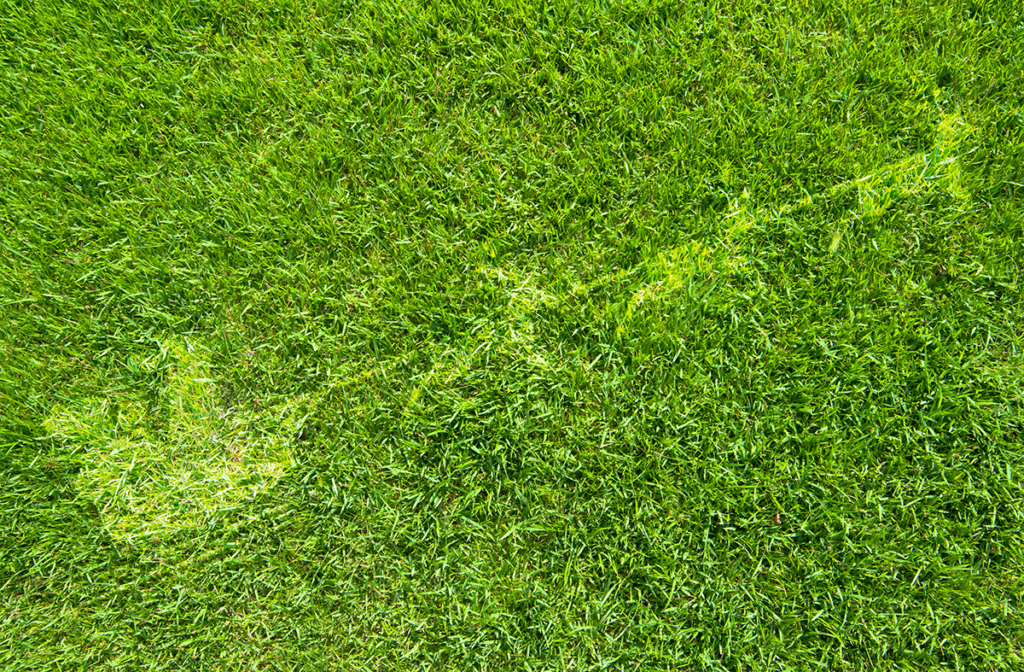 Christmas Decorations on Artificial Turf - ReTurf