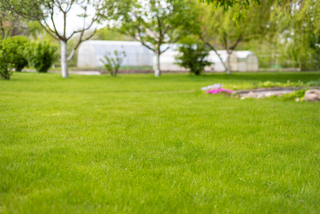 What is Thatching in Artificial Turf? - ReTurf