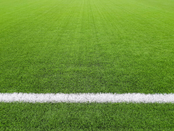 Why Recycled Artificial Turf is a Touchdown for Sustainability - ReTurf