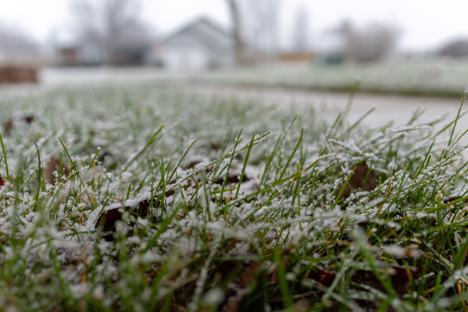 Artificial Turf in Winter - Snow, Ice, & Cold Weather Tips