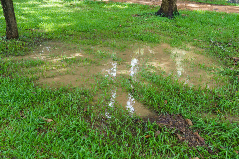 Drainage & Artificial Turf: Things You Need to Know - ReTurf