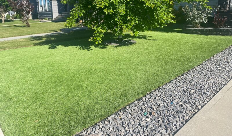 Infill 101: What It Is, What It Does, and Why You Need It - ReTurf