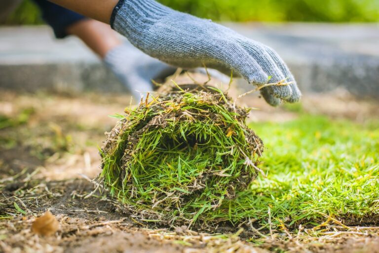What Happens If You Lay New Turf Over Old Grass? - ReTurf